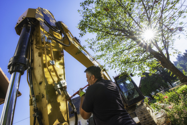 Tree Preservation Plans, Collingwood | WillowStone [Video]