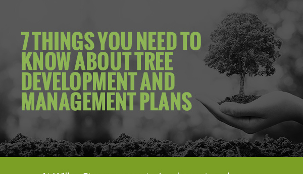 7 Things You Need to Know About Tree Development and Management Plans ...