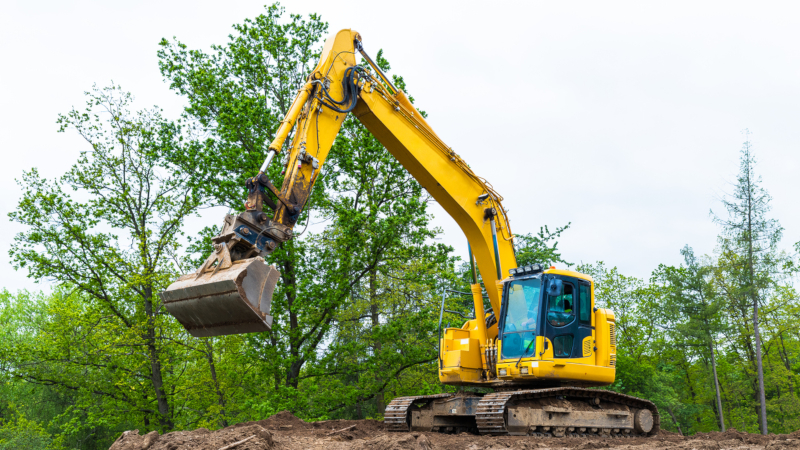 The Importance of Tree Preservation Plans Before Construction | WillowStone